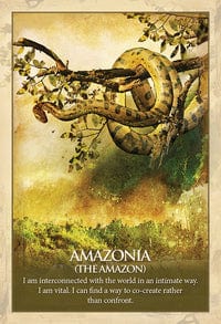 Earth Power Oracle by Stacey Demarco - The Foxes Den